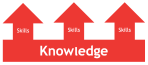 A 5-Minute Guide to: Knowledge vs Skills – The Teaching Delusion